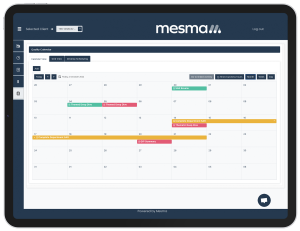 Mesma Quality Assurance Software and Advisory Support
