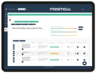 Mesma Quality Assurance Software and Advisory Support