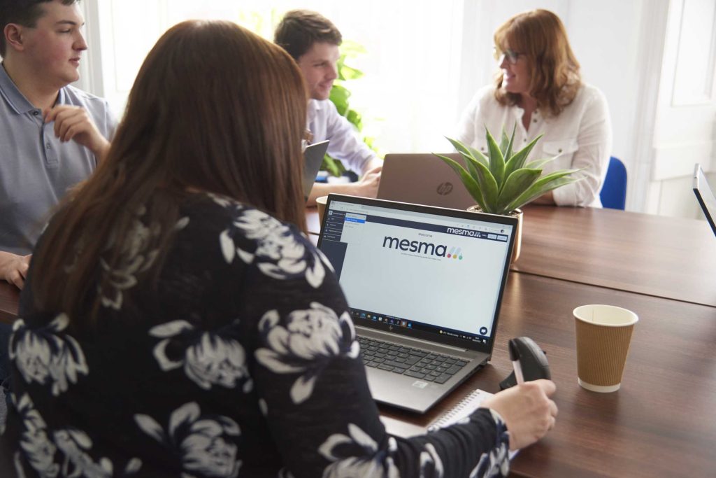 Four steps to successfully implement Mesma quality assurance software ...